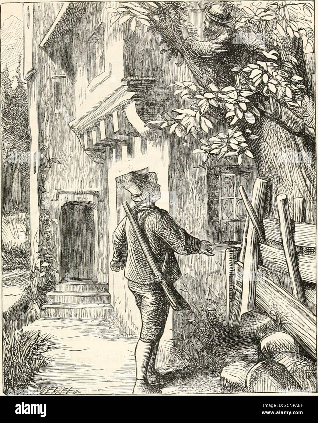 Whoop tree hi-res stock photography and images - Alamy