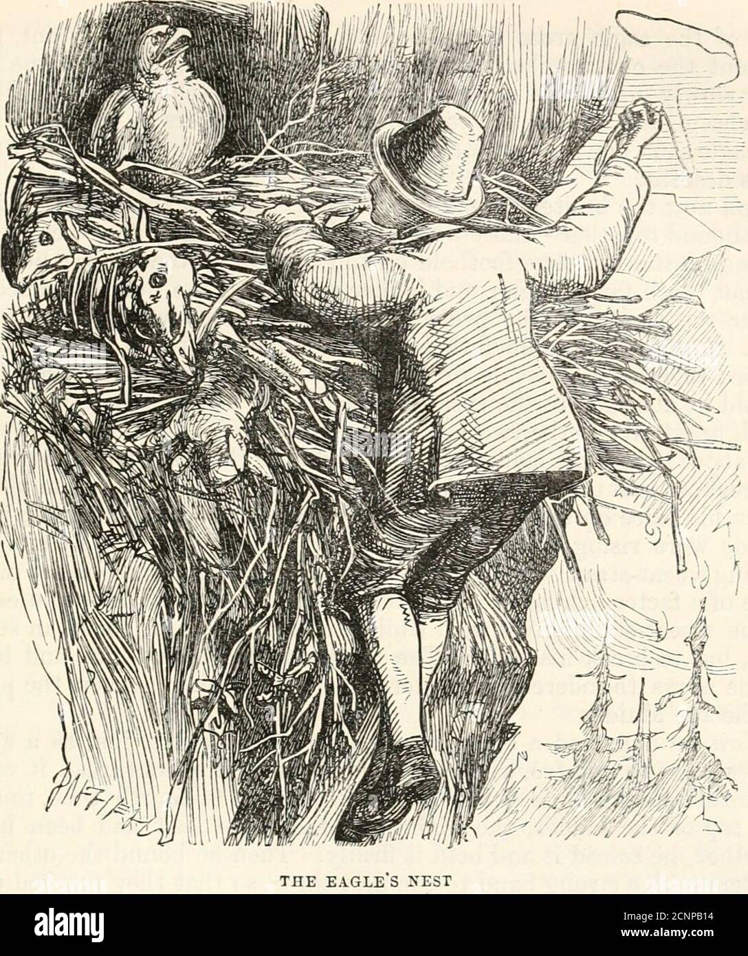 Getting stronger rocky song - swaglasem