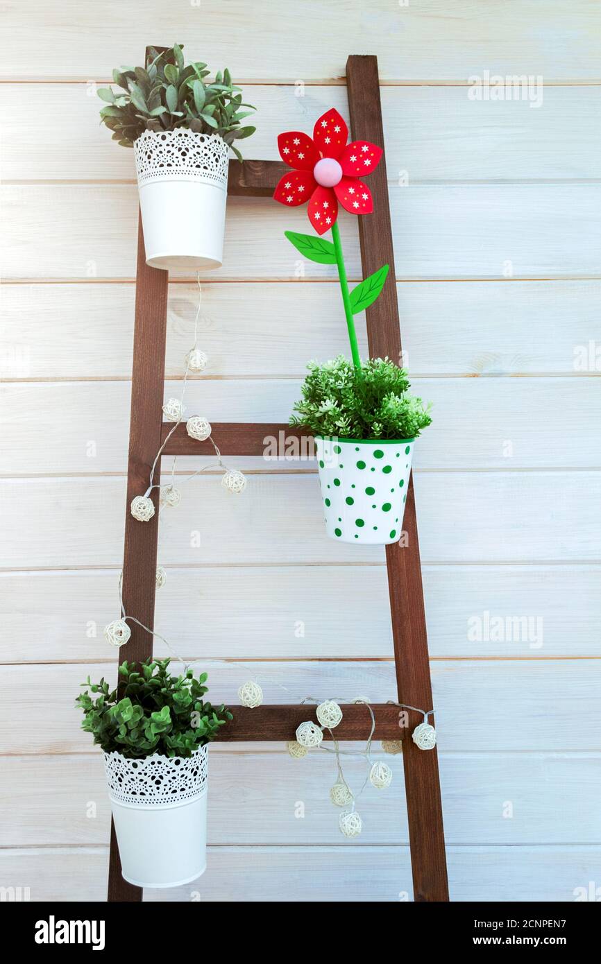 Wooden ladder stand with flowers close to a wall Stock Photo - Alamy