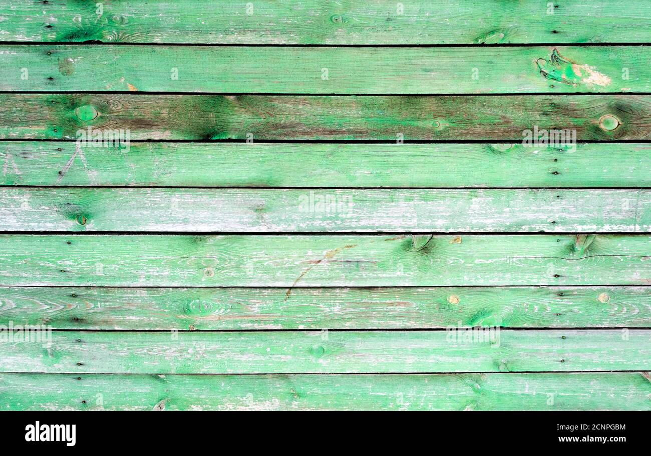 Green old painted cracked wooden door texture as background. Closeup ...