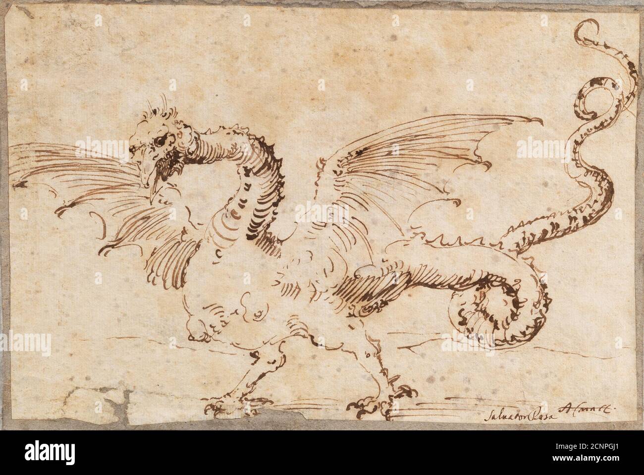 Study of a dragon, 1620s. Private Collection Stock Photo - Alamy