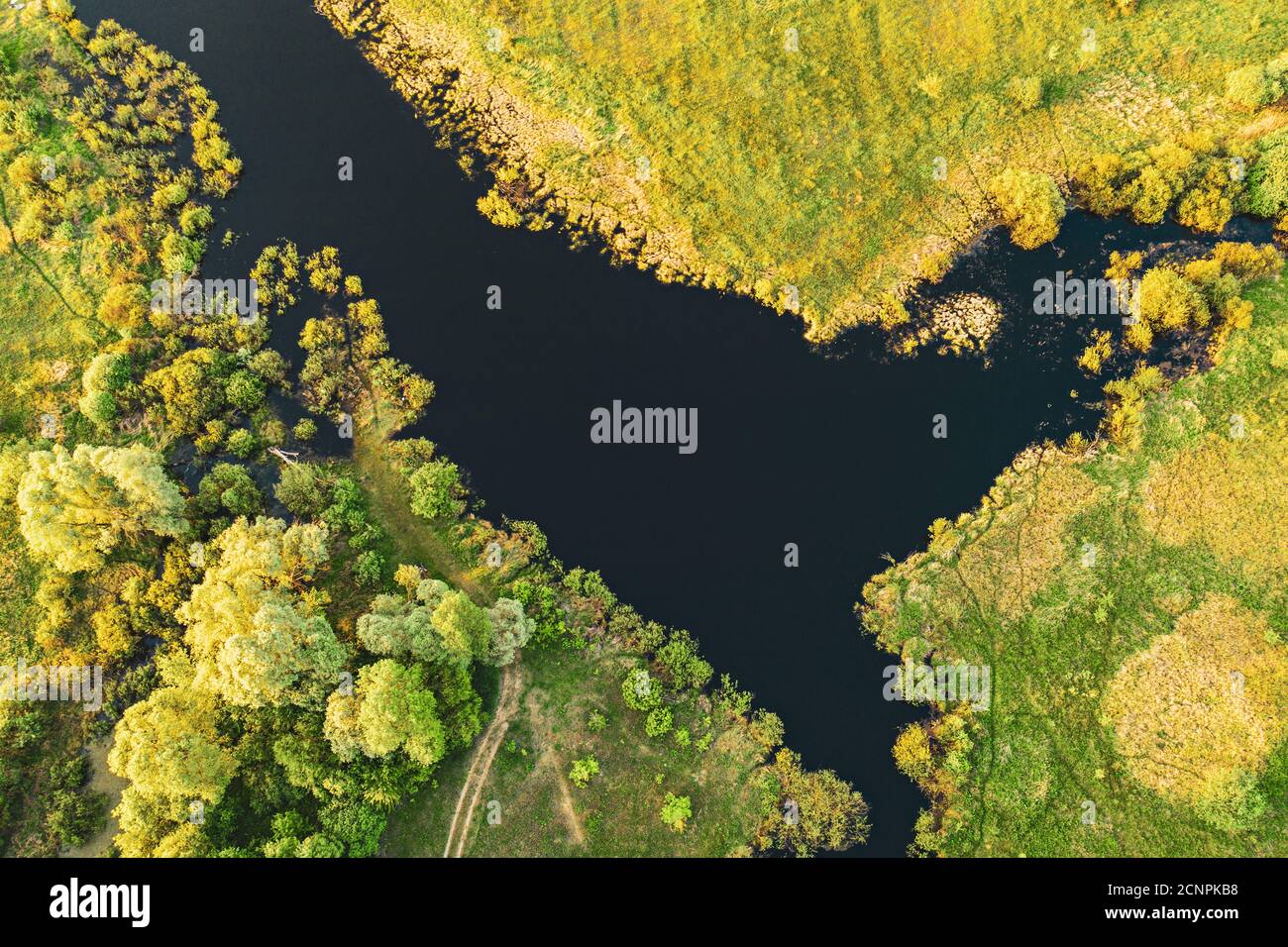 Aerial landscape of blue lake in green field, top view of beautiful ...