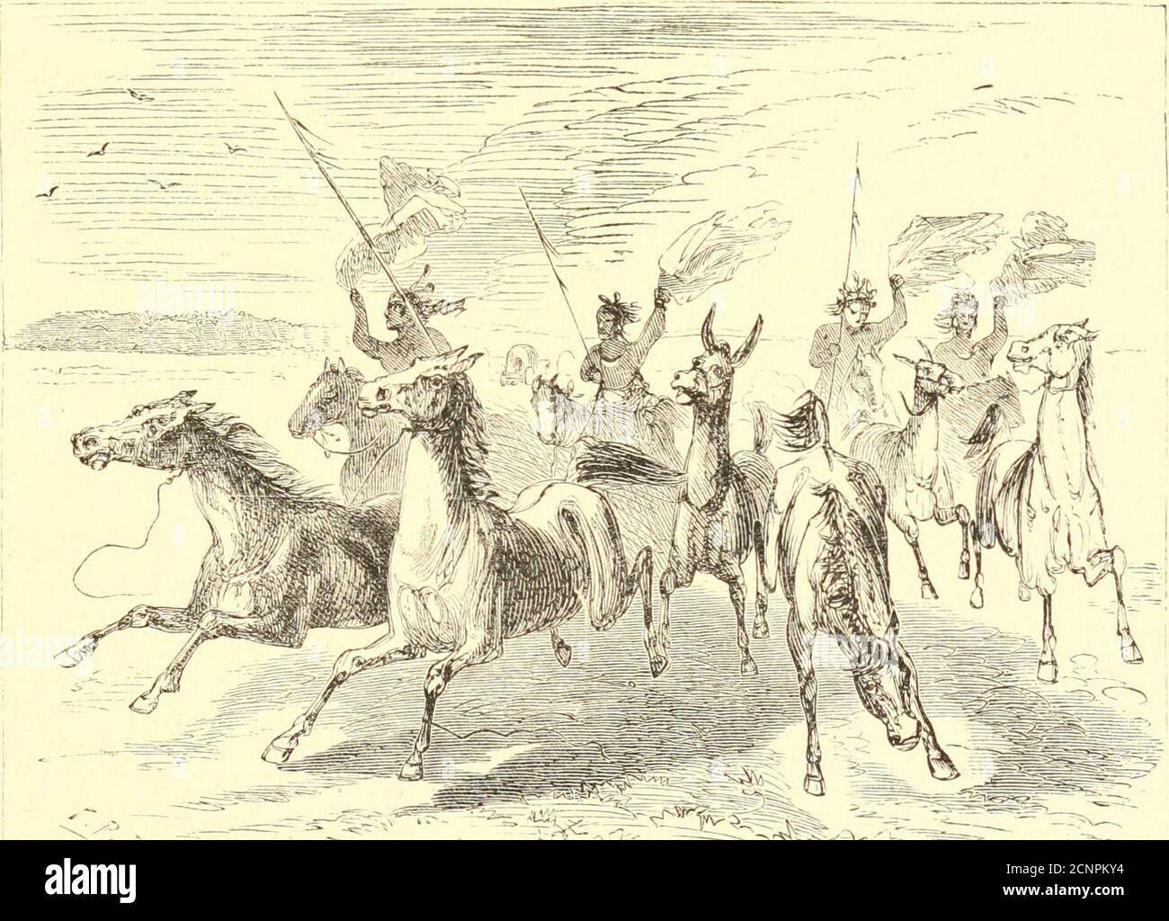Stampeding horses hi-res stock photography and images - Alamy