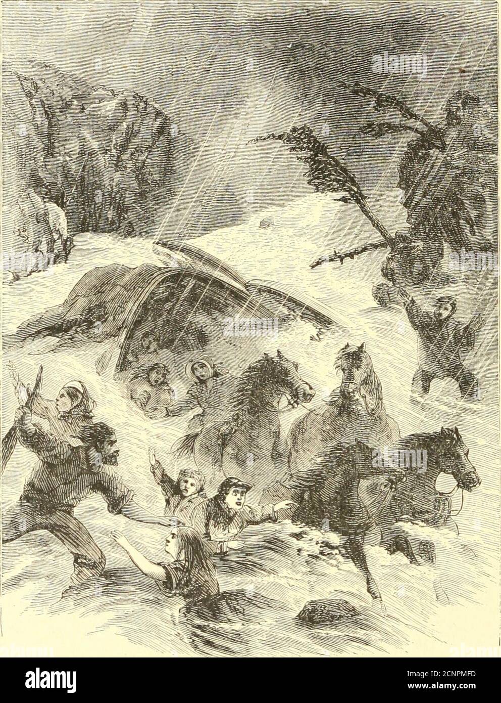 . The young Nimrods in North America : a book for boys . Rocky Moun ...