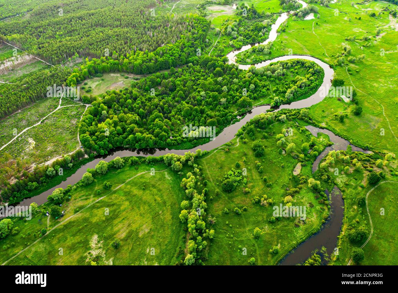 Aerial landscape of winding river in green field, top view of beautiful ...