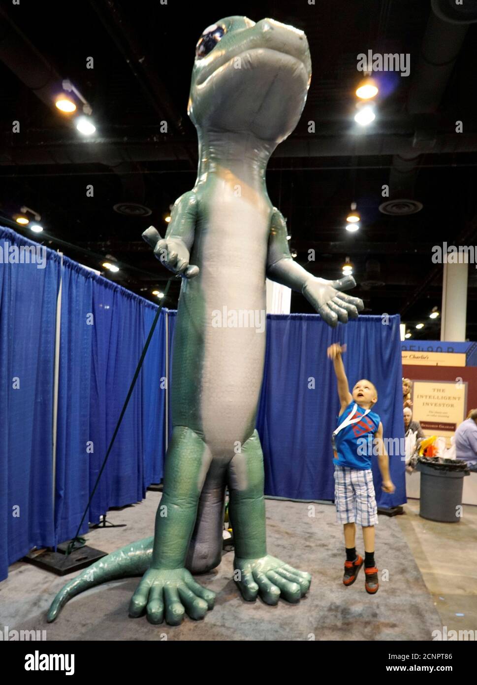 Geico lizard hi-res stock photography and images - Alamy