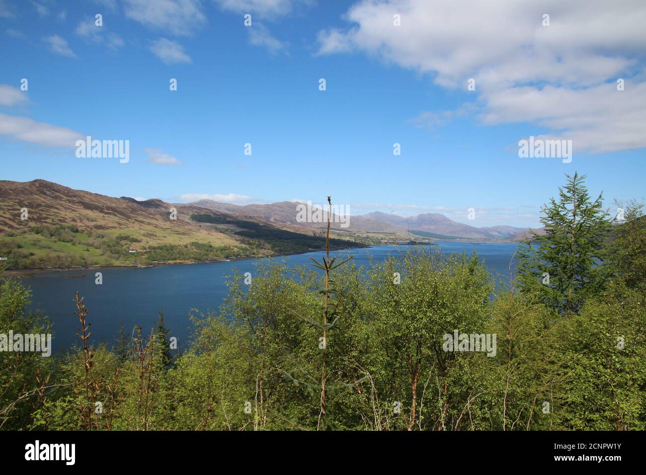 Loch Carron, Scotland, Great Britain Stock Photo - Alamy