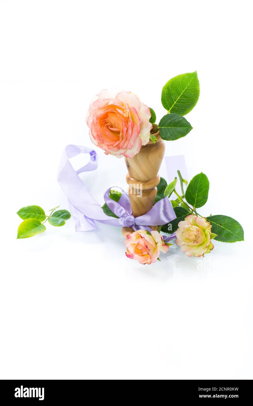 pink beautiful summer roses on white background Stock Photo - Alamy