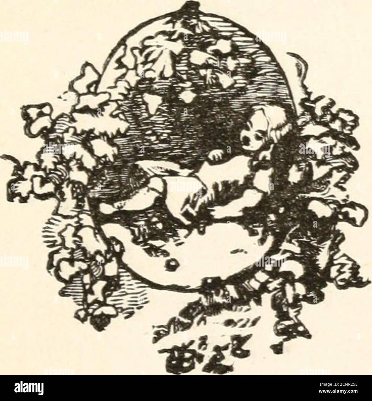 Roguish look hi-res stock photography and images - Alamy