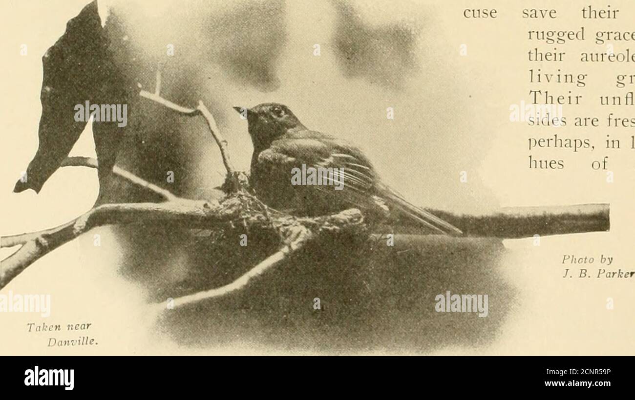 . The birds of Ohio; a complete scientific and popular description of ...