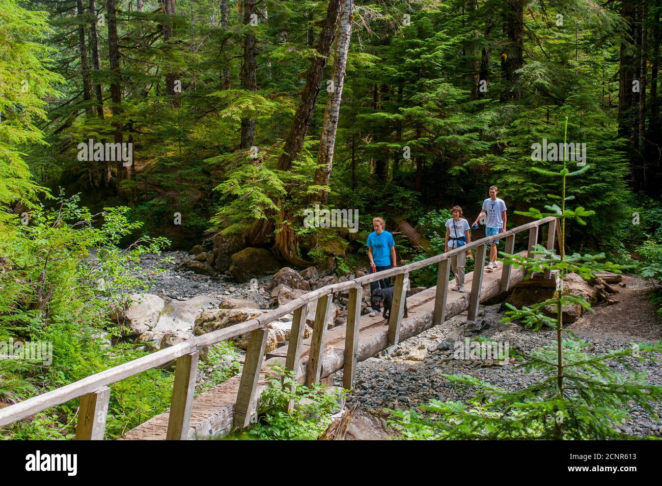 Hikers (Model Released) with a standard poodle on a bridge on the ...