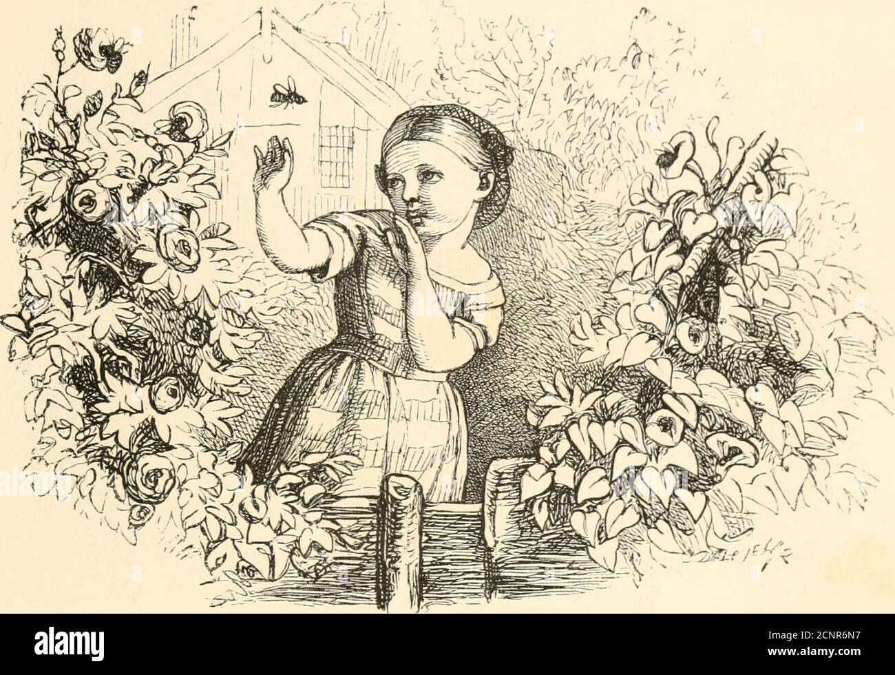 Slunk hi-res stock photography and images - Alamy