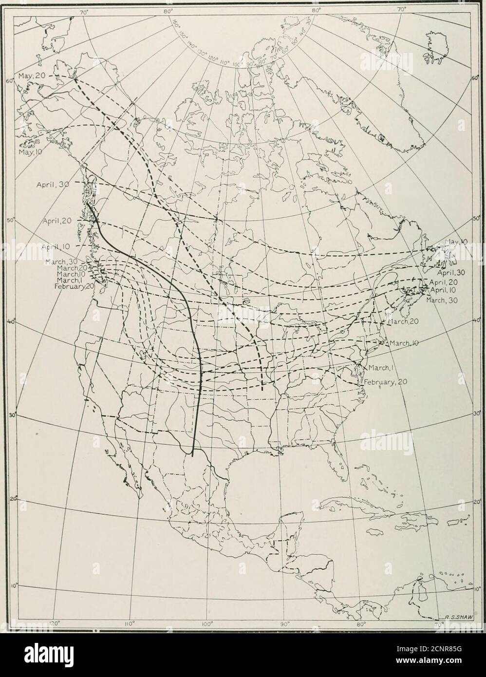 American robin showing bird hi-res stock photography and images - Alamy