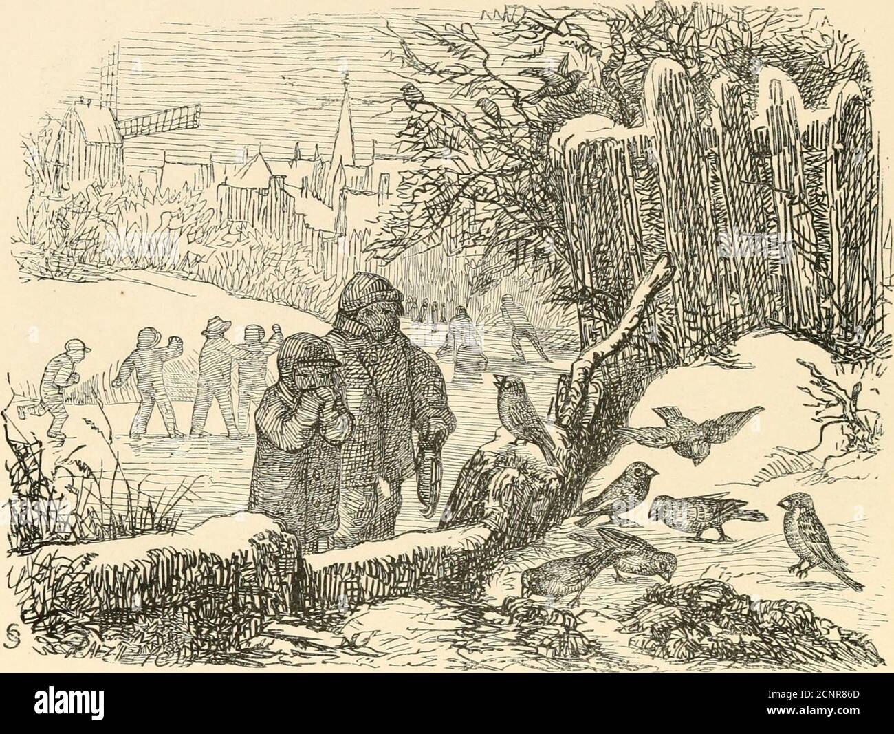 Cackling Hen High Resolution Stock Photography and Images - Alamy