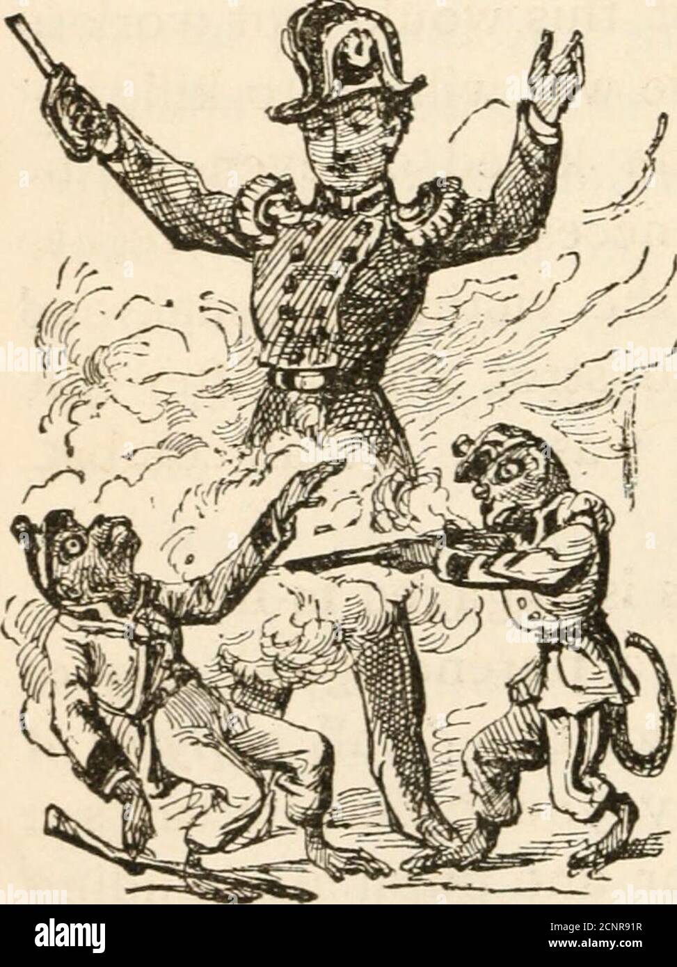 Marching monkeys hi-res stock photography and images - Alamy