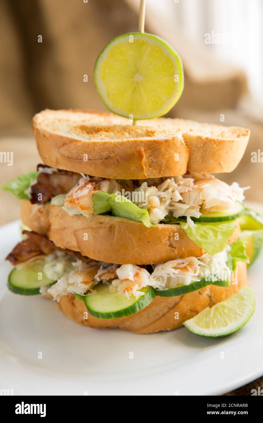 A crab sandwich on toasted bread made from a brown crab, Cancer pagurus ...