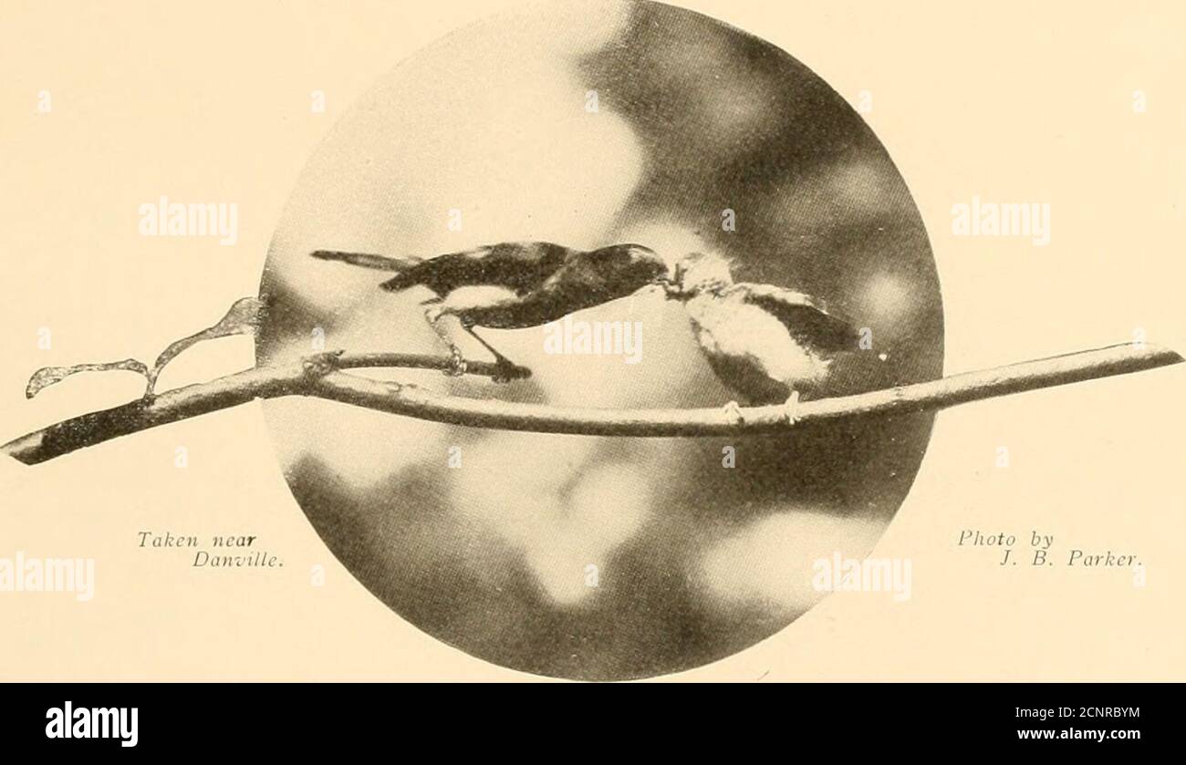 Good luck mate hi-res stock photography and images - Alamy