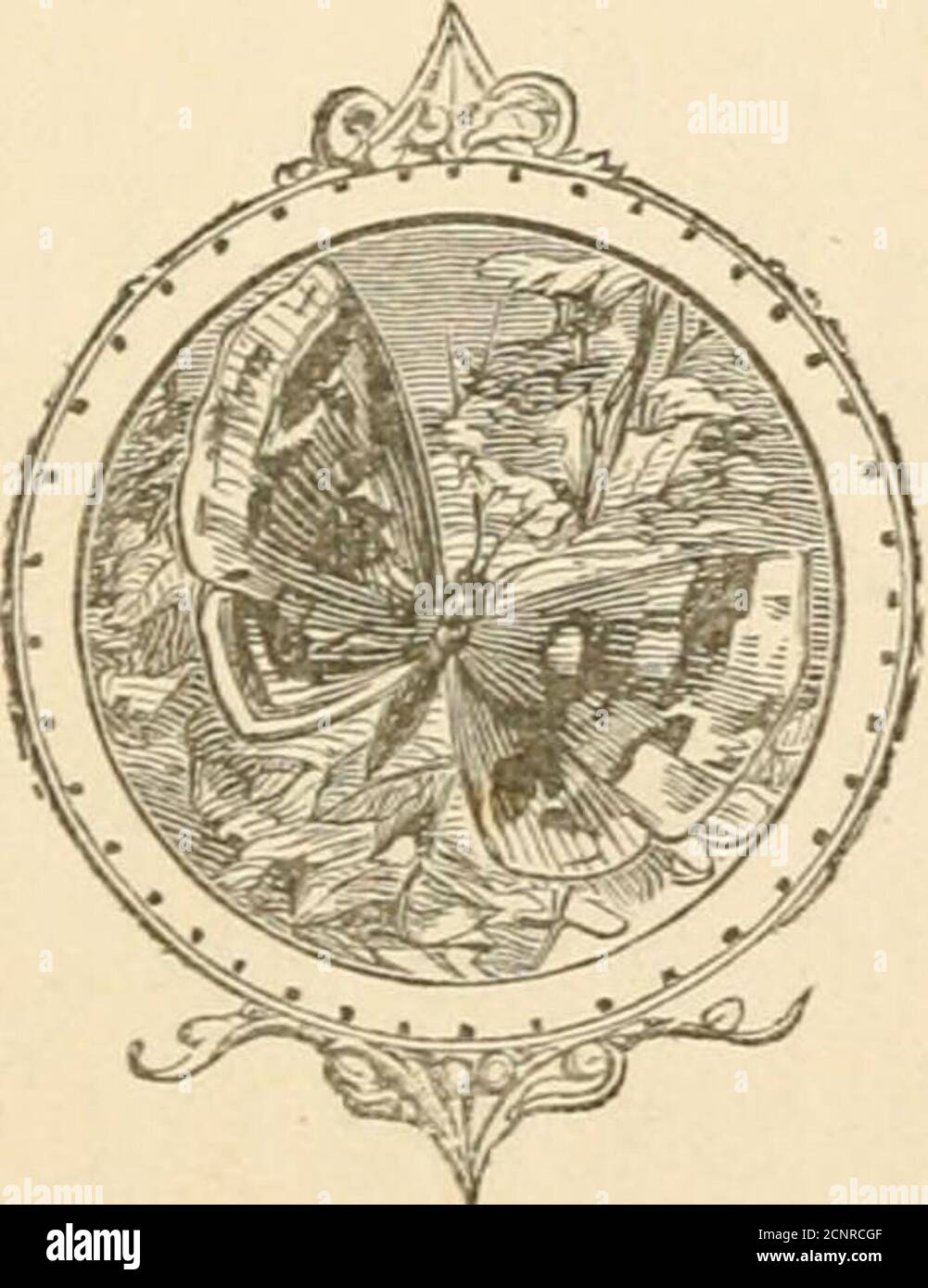 . Jessie Grey; or, The discipline of life, a Canadian tale . ue St ...