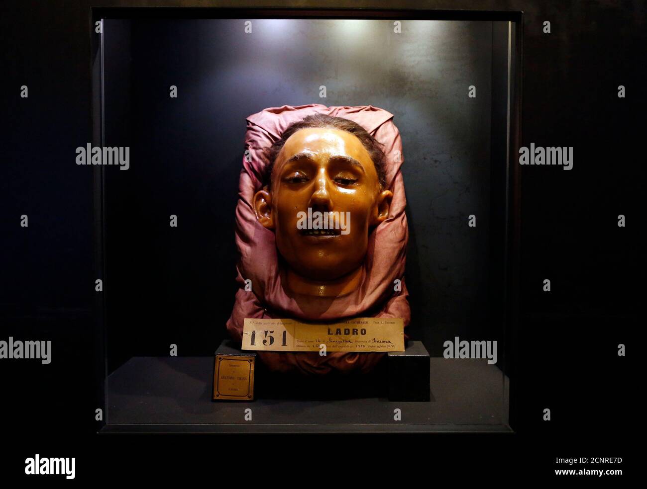 Thief head hi-res stock photography and images - Alamy