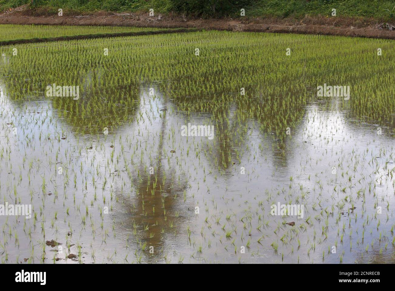 Landscape in oriental mindoro philippines hi-res stock photography and ...