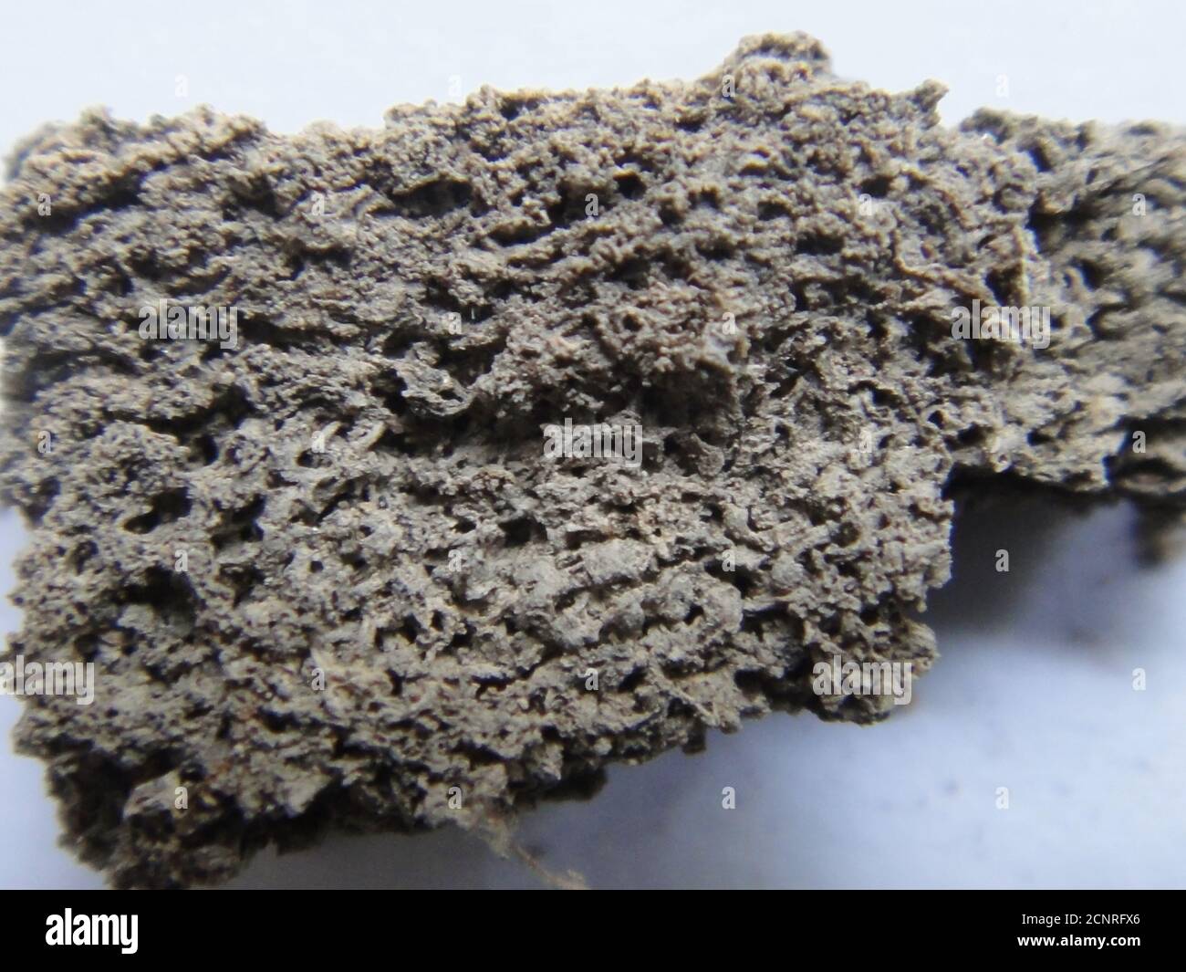 Neolithic cultures of china 5000 bc 3000 bc hi-res stock photography ...