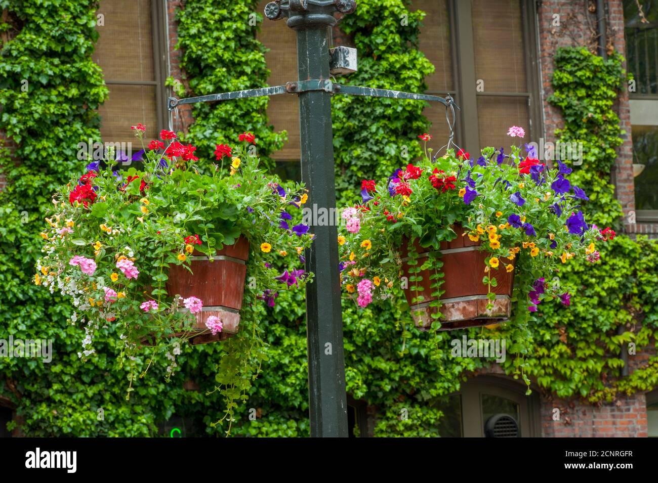 Lamp post hanging flower basket hi-res stock photography and images - Alamy