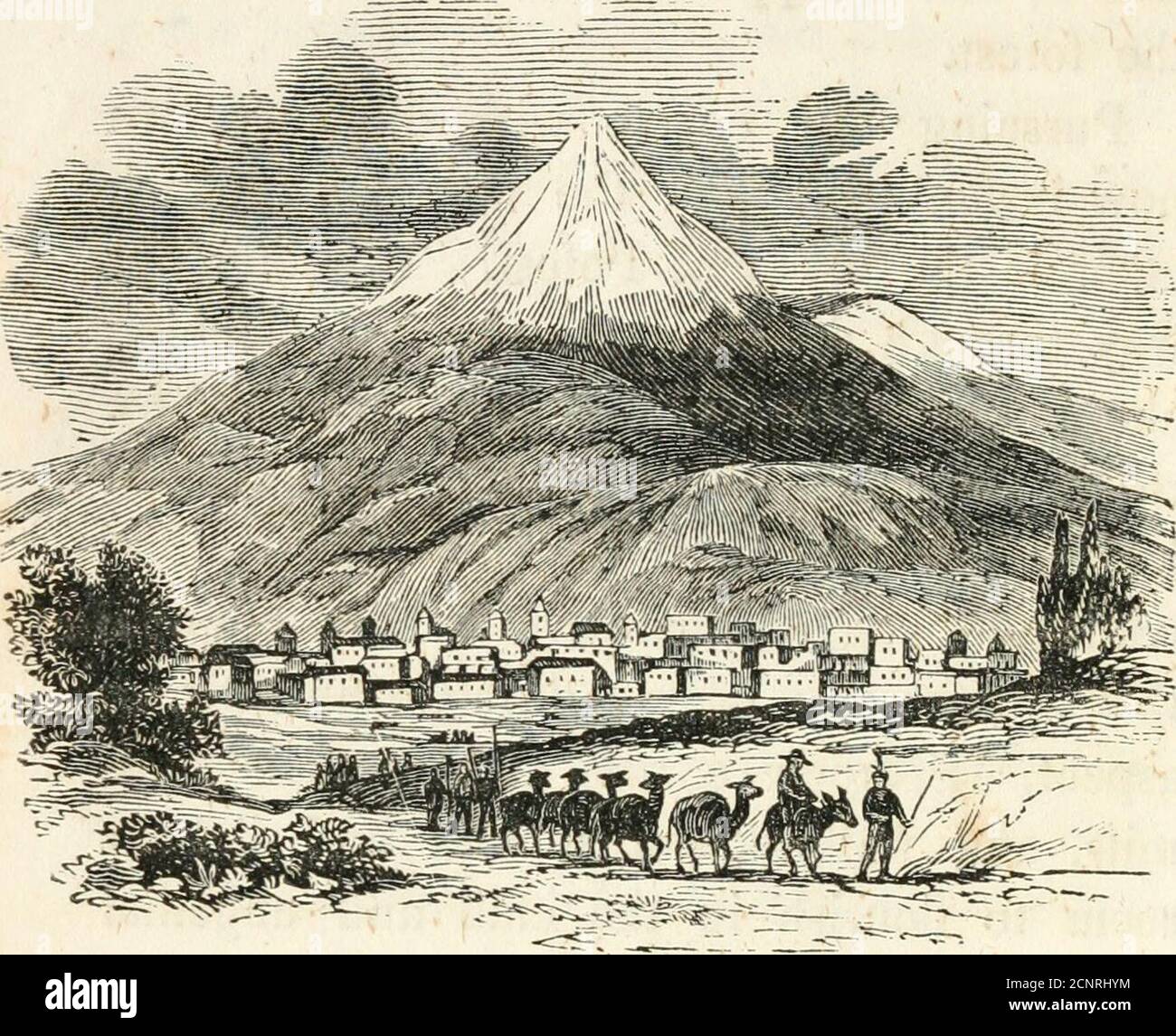 . Dick Boldhero : or, A tale of adventures in South America . ey in his ...