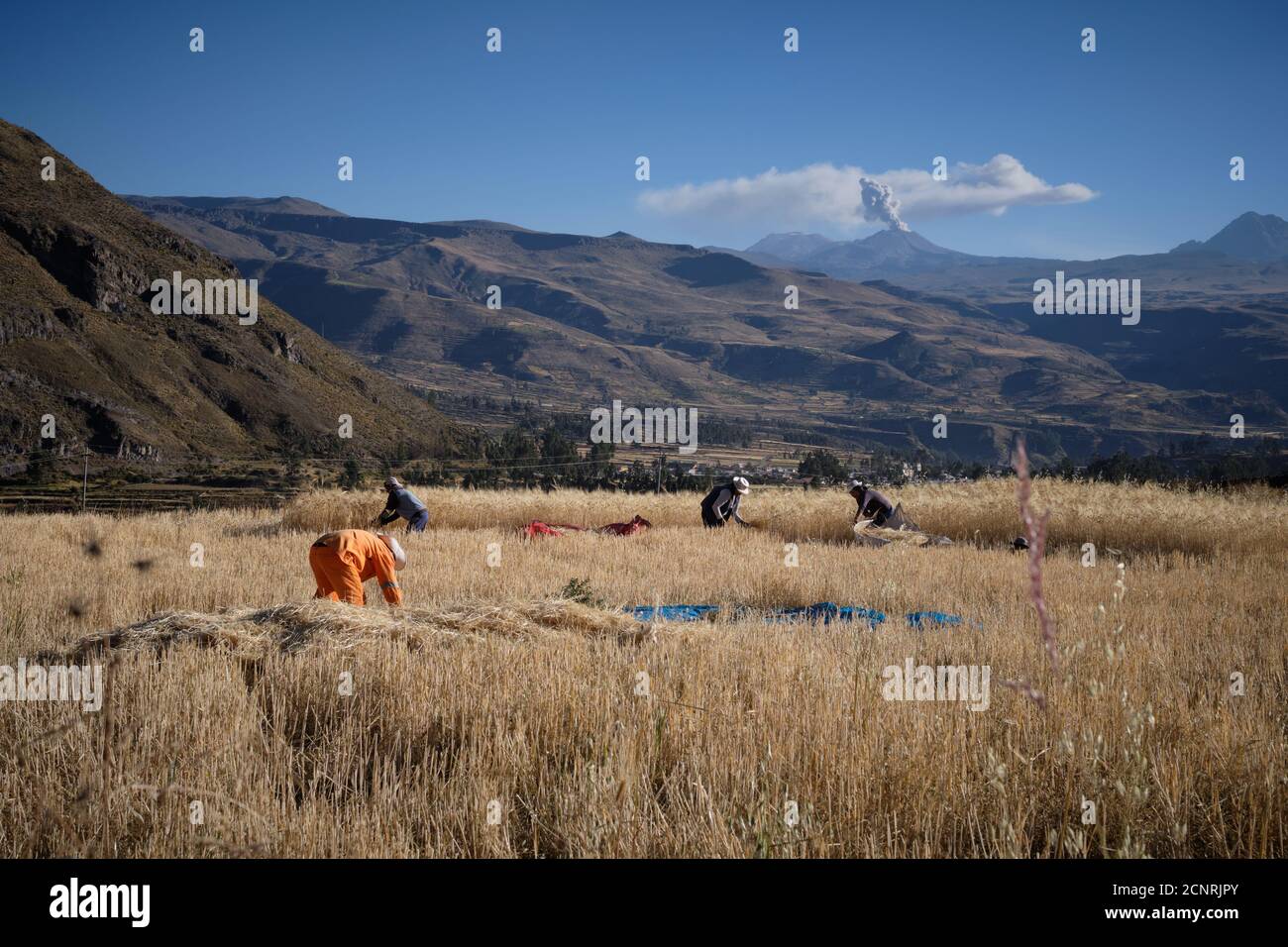 Agricultural workers hi-res stock photography and images - Alamy