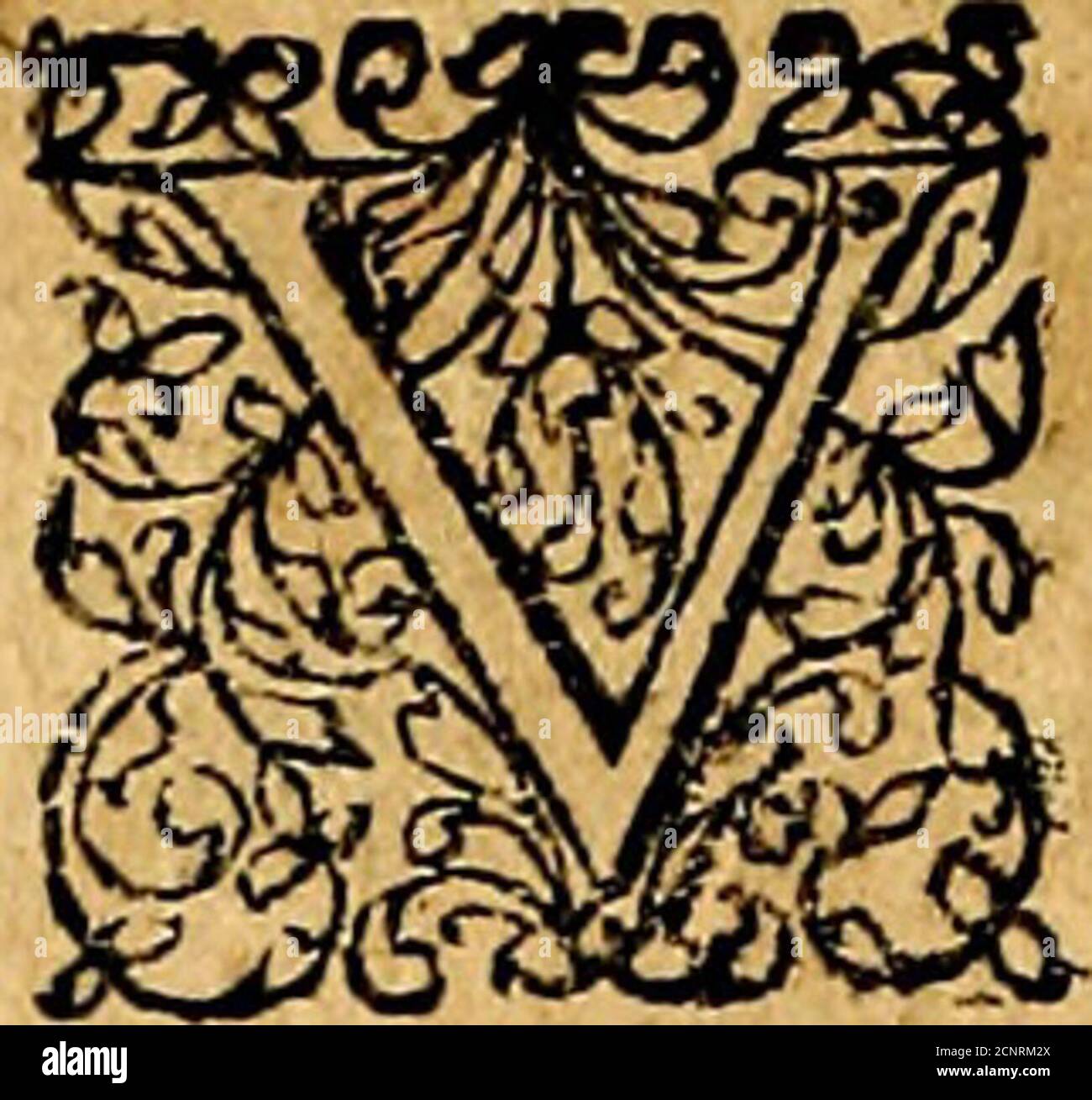 Ciear hi-res stock photography and images - Alamy