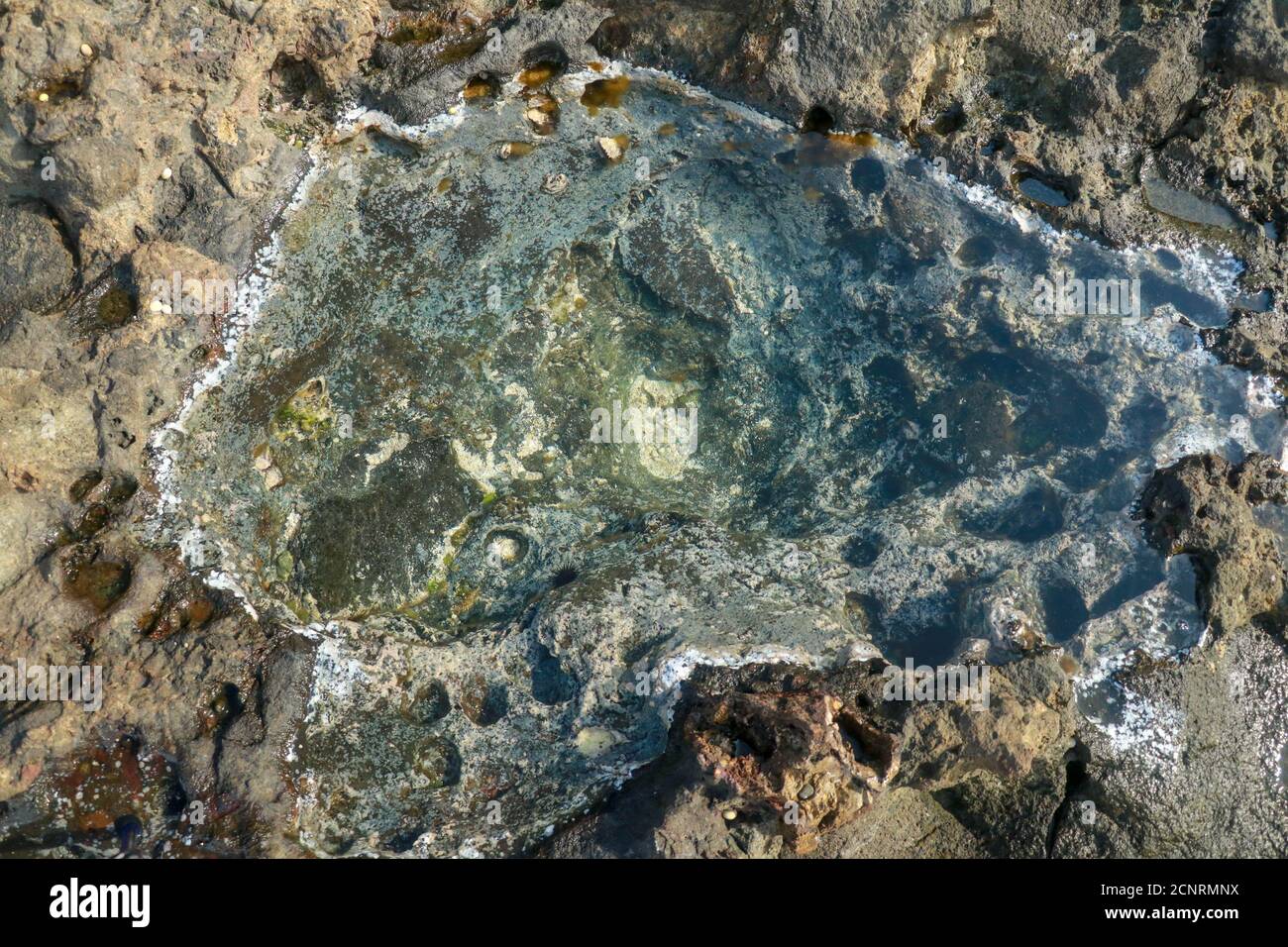 Water puddle and rock texture at the ocean coast Stock Photo - Alamy