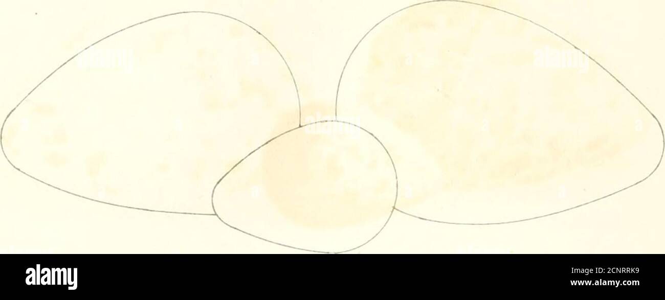 Sedge lined hi-res stock photography and images - Alamy