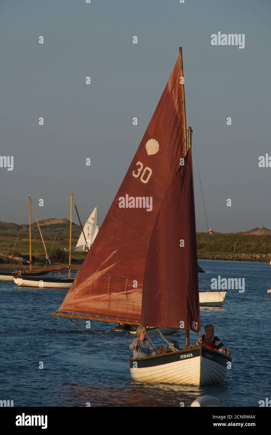 Traditional sail boat with tan sails under sail in estuary among boats ...