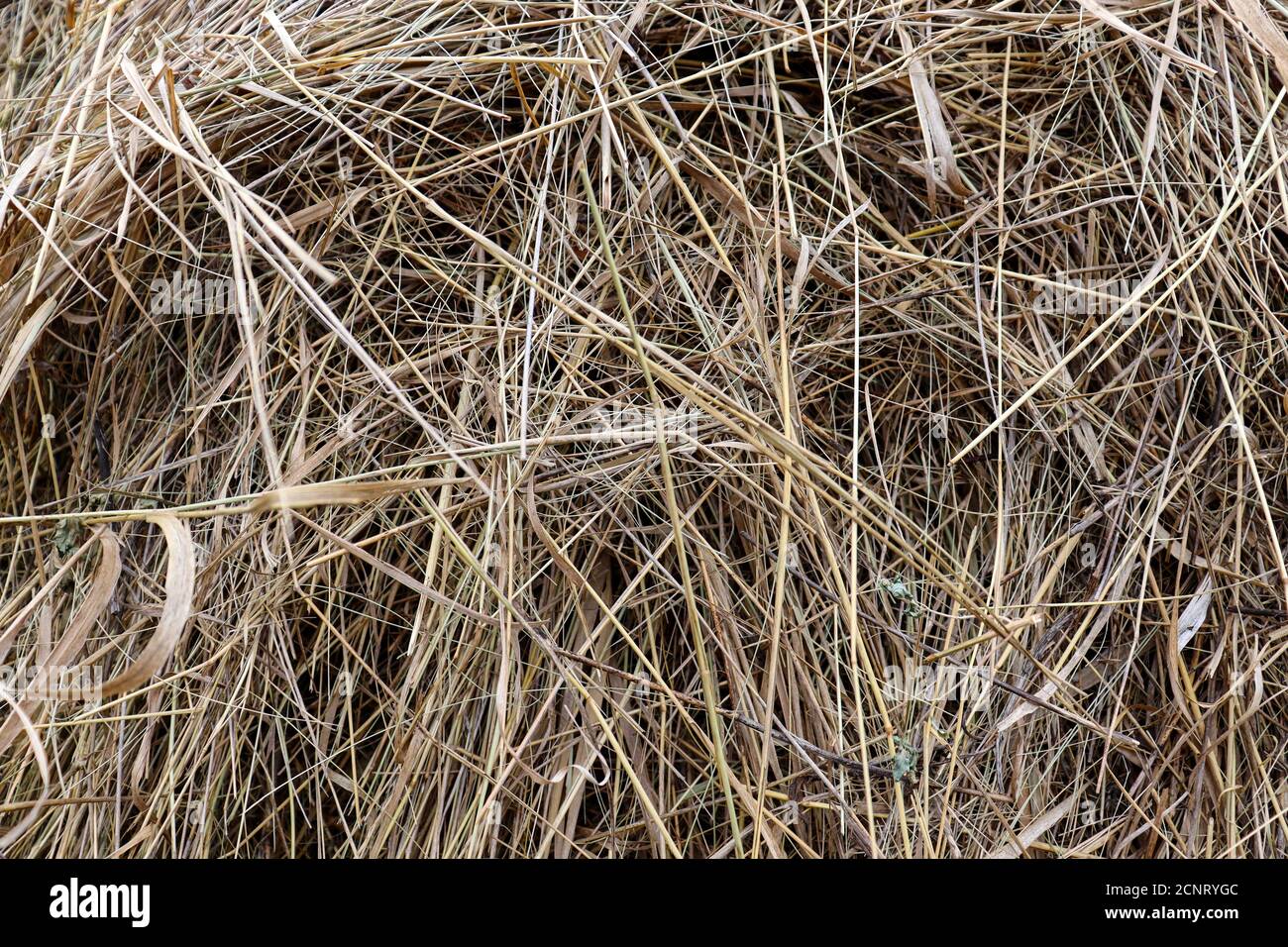 Natural hay texture. Beautiful dry grass background Stock Photo - Alamy