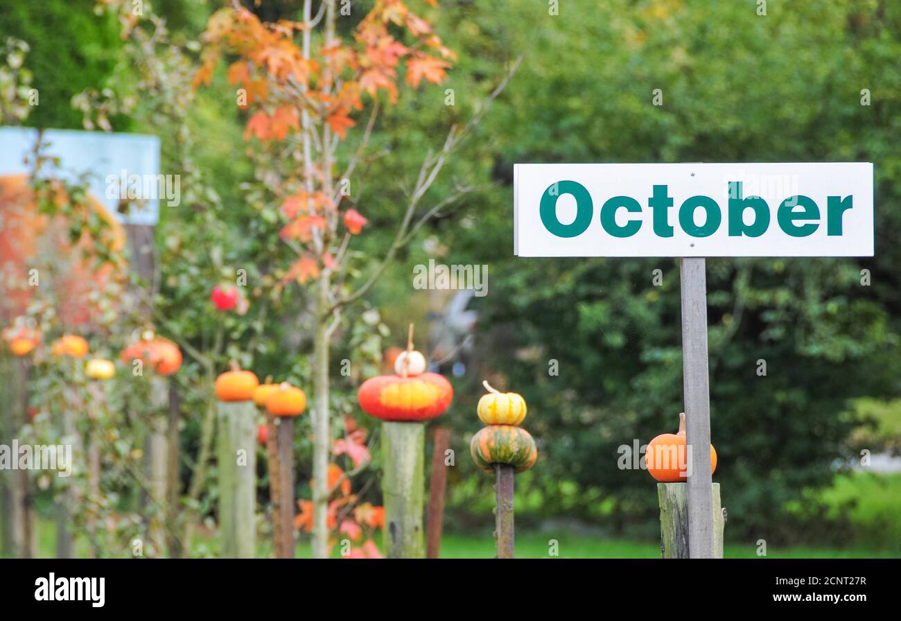 Roadside display gourds hi-res stock photography and images - Alamy