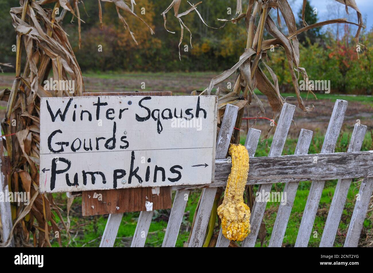 Homemade sign on a fence advertising vegetables for sale at local ...