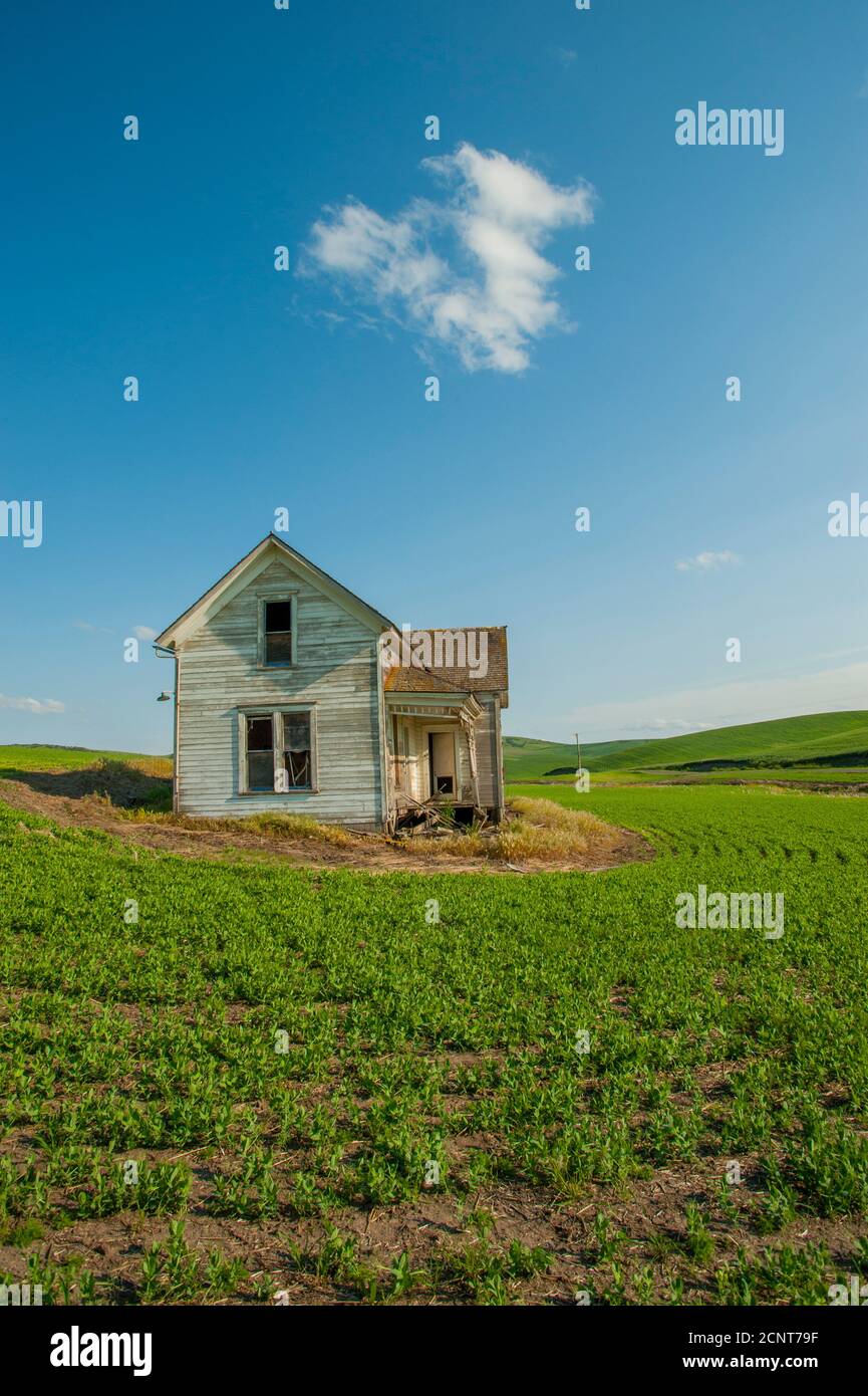 View of the abandoned old Weber Farm house in Whitman County in the ...