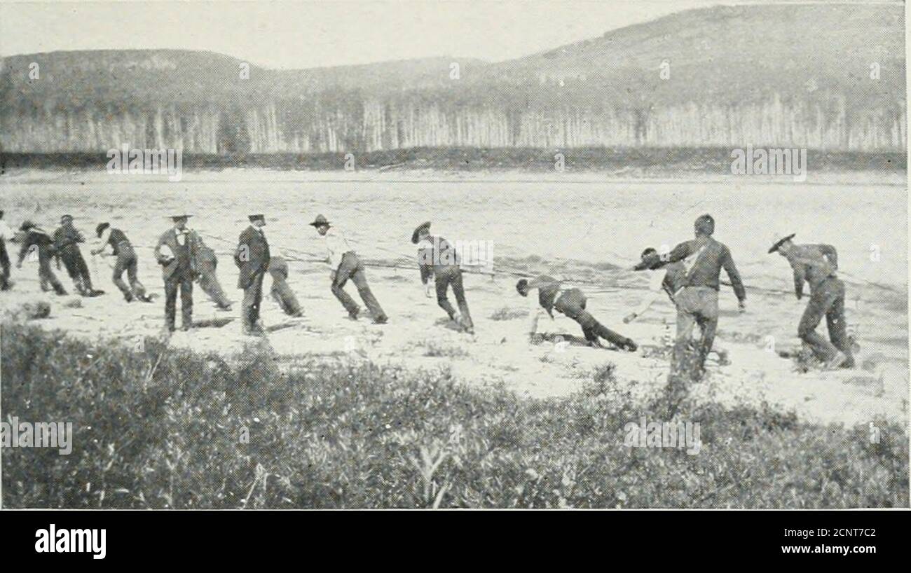 Tracking camps hi-res stock photography and images - Alamy