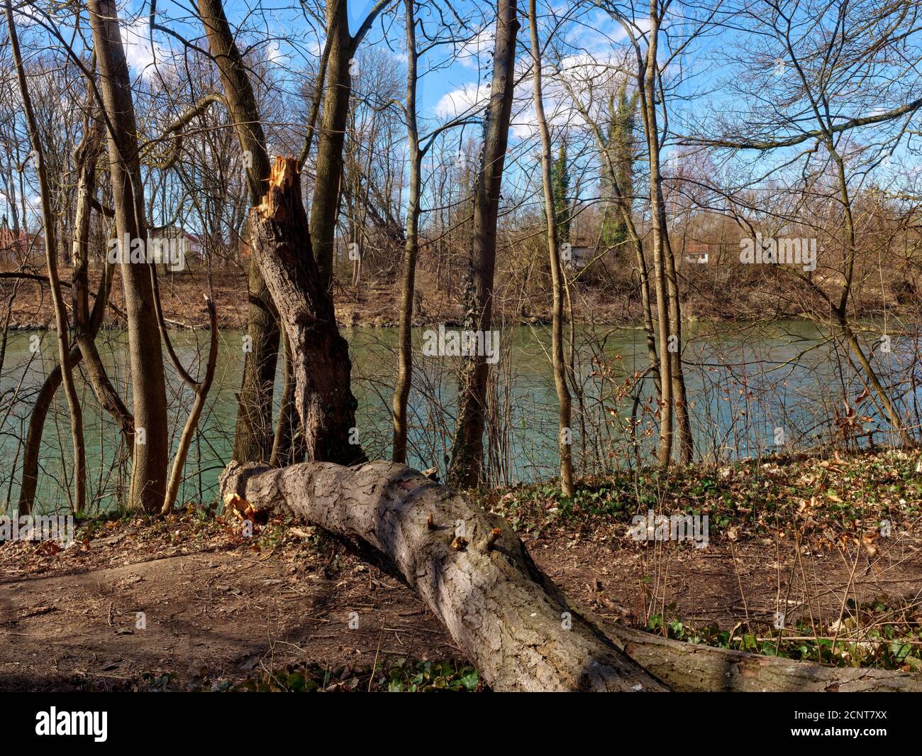 River, running water, bank, riparian forest, forest, trees, fallen ...
