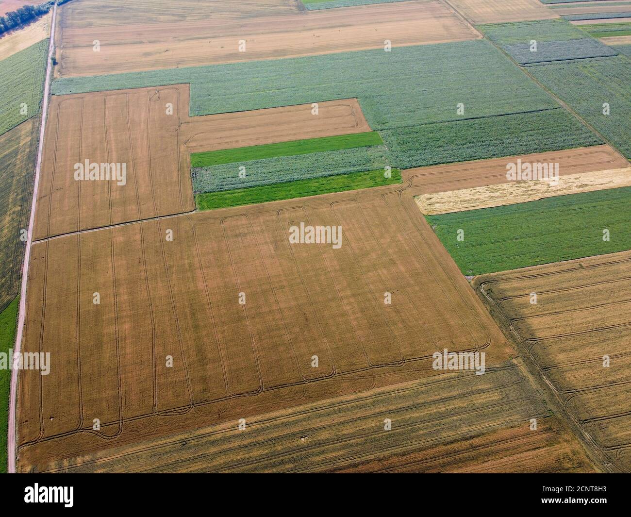 The field is sown with different crops by geometric shapes, areas of ...