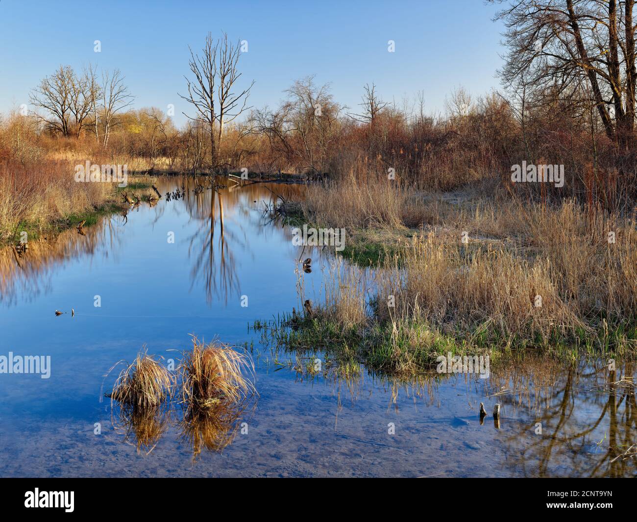 Brook renaturation hi-res stock photography and images - Alamy