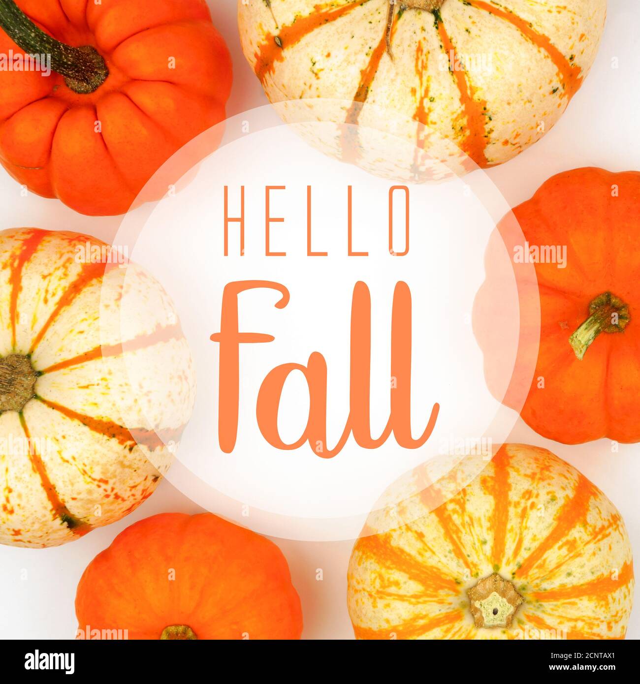 Hello Fall