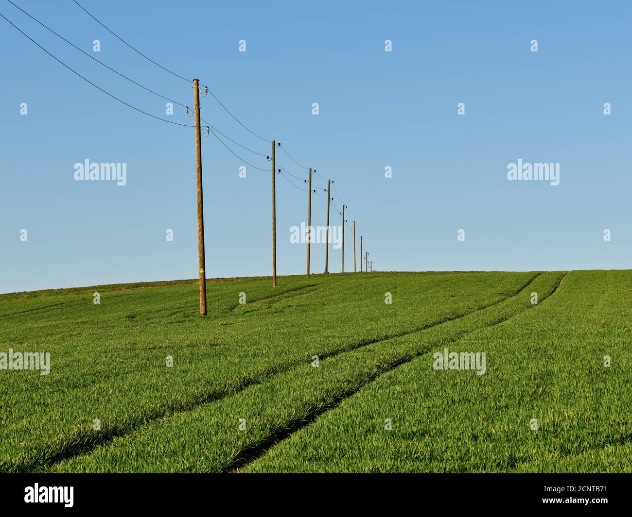 Line Wooden Poles High Resolution Stock Photography and Images - Alamy