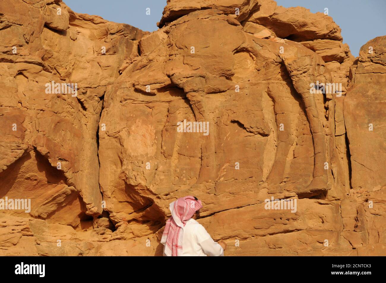 Al jouf saudi arabia hi-res stock photography and images - Alamy