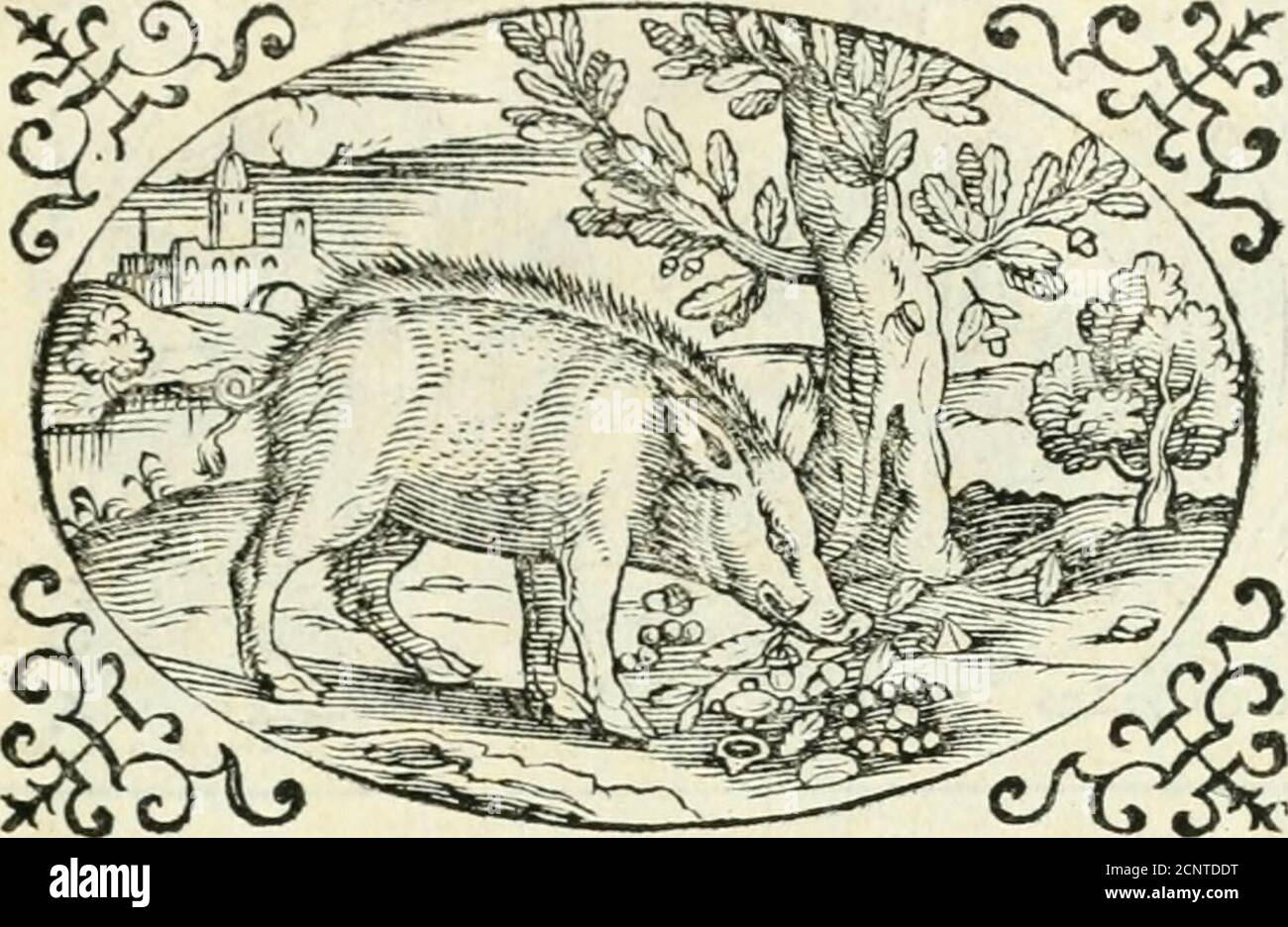 Endice hi-res stock photography and images - Alamy