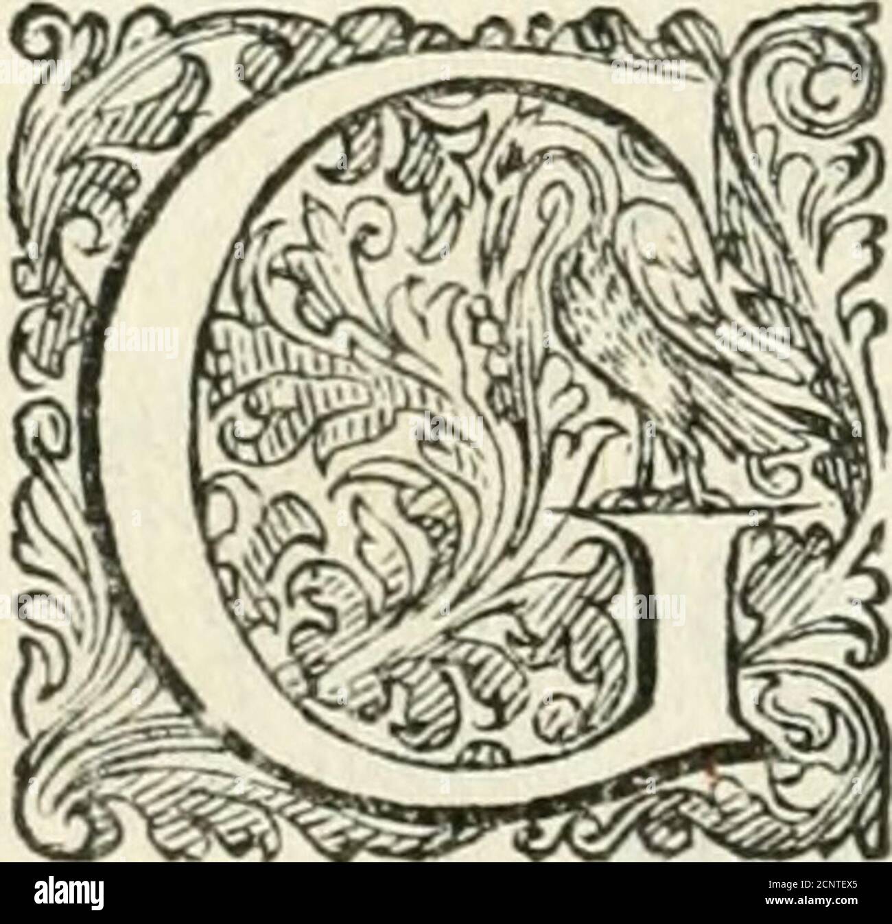 Simbolo ro hi-res stock photography and images - Alamy