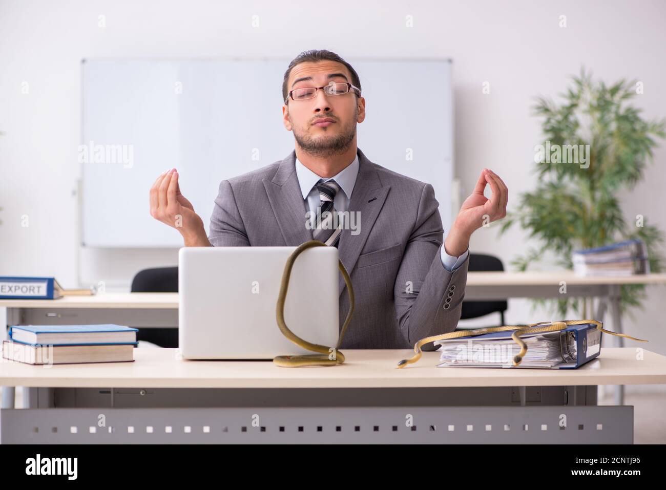Male employee with snake in the office Stock Photo - Alamy
