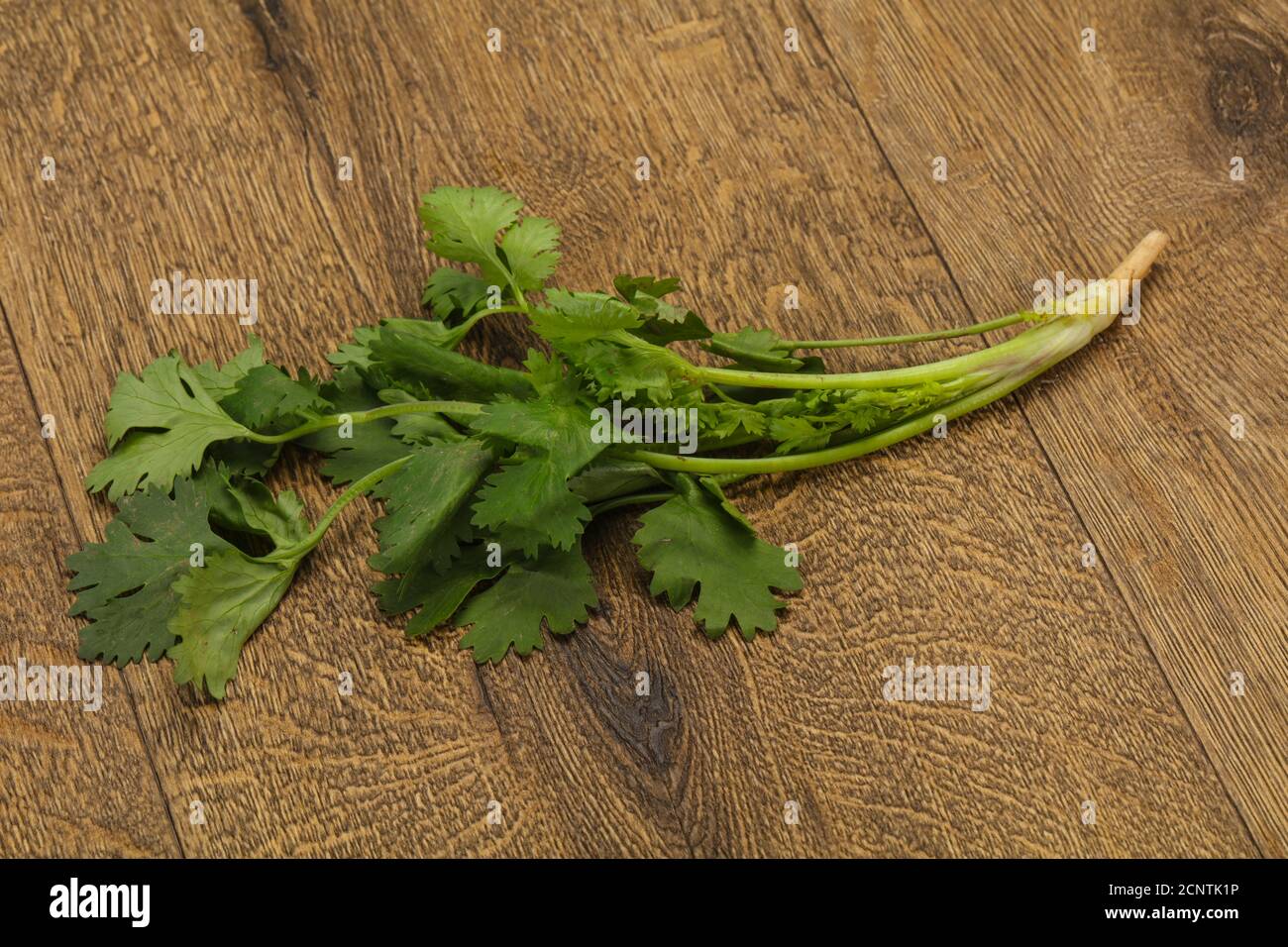 Fresh ripe Green cilantro leaves spice Stock Photo - Alamy