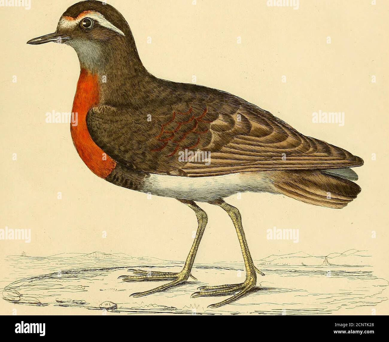 Azureo hi-res stock photography and images - Alamy