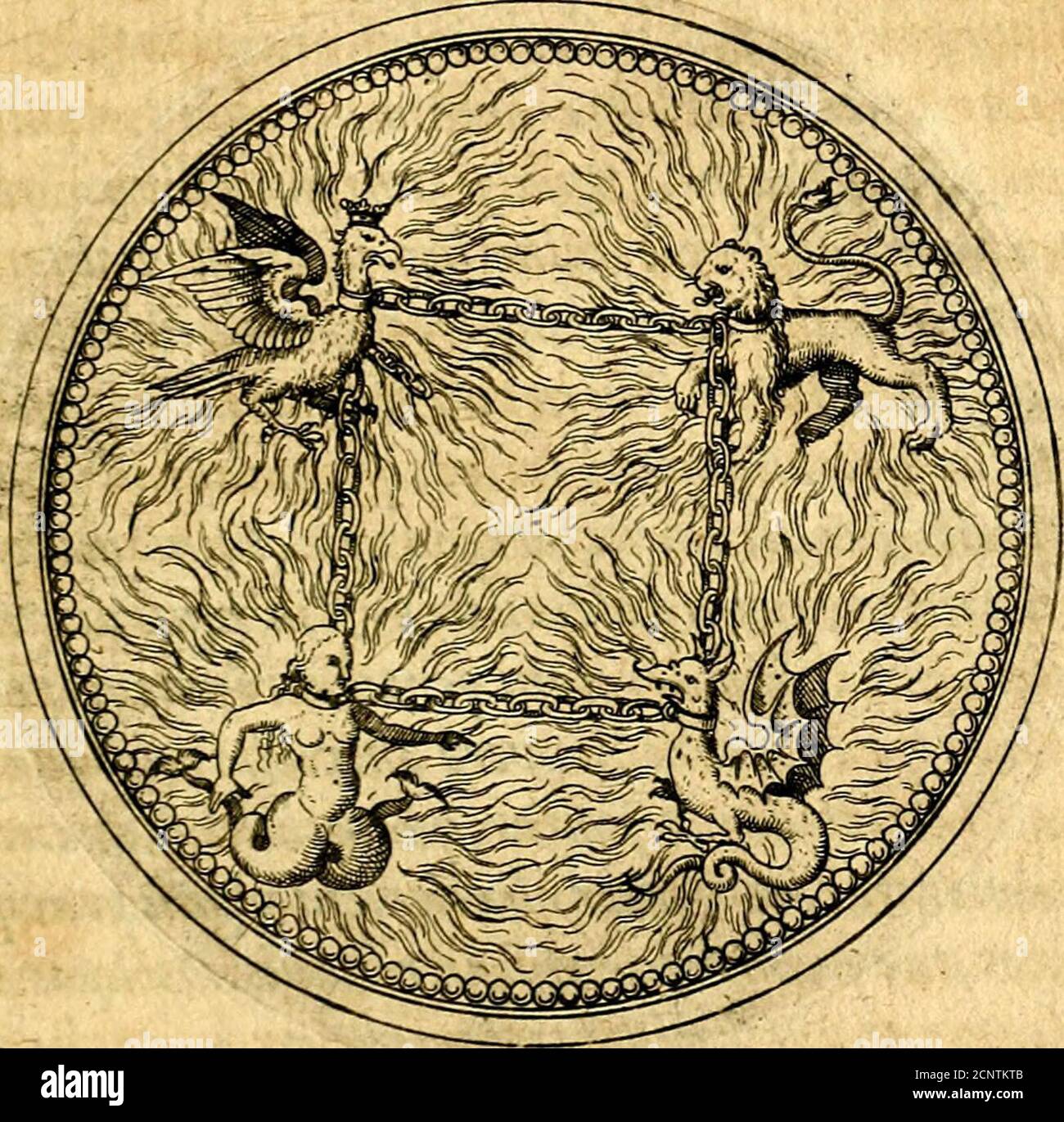 Aves altas hi-res stock photography and images - Alamy