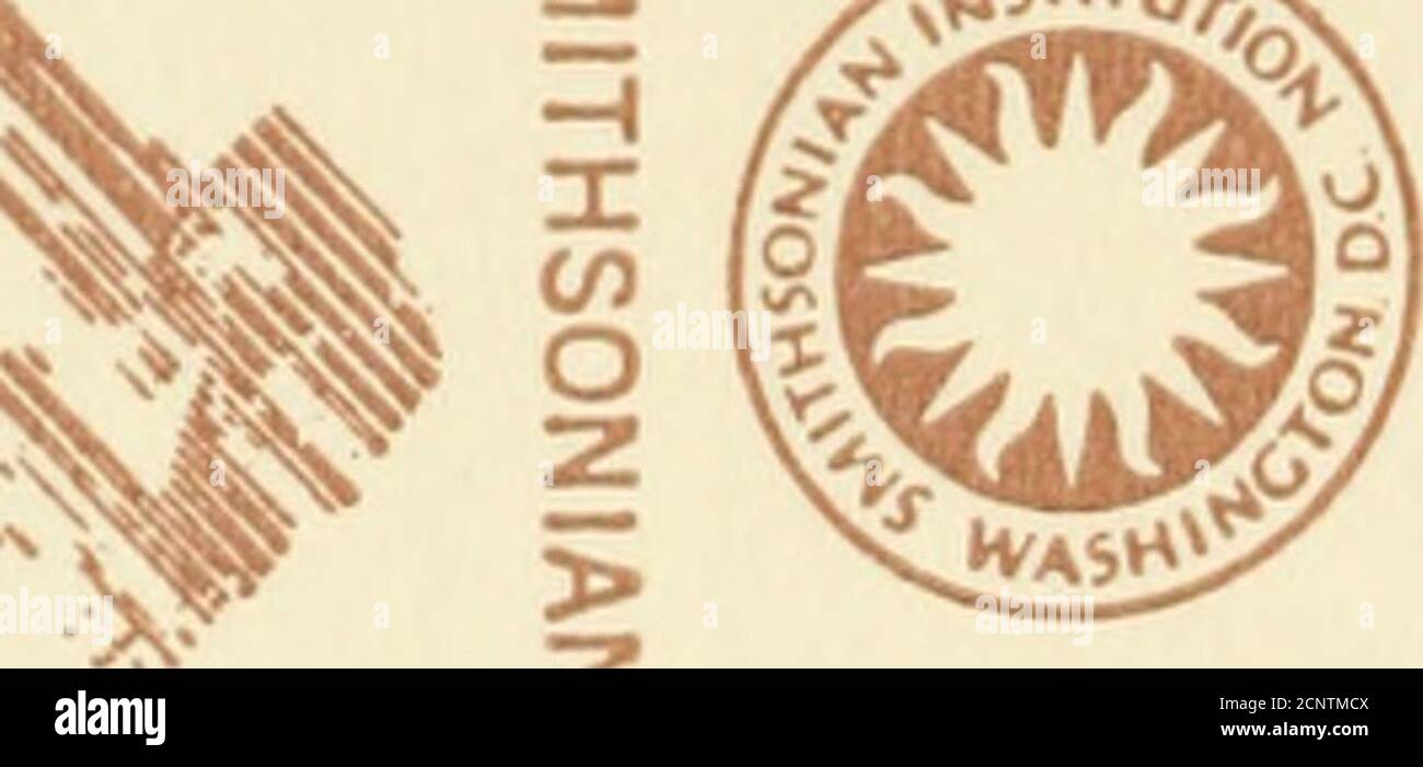 . Birds from the islands of Romblon, Sibuyan, and Cresta de Gallo ...